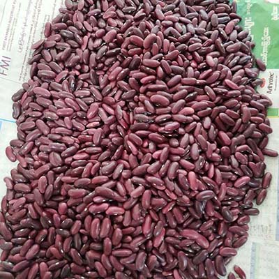 Beanpeas | Siam Global Impex Co., Ltd.