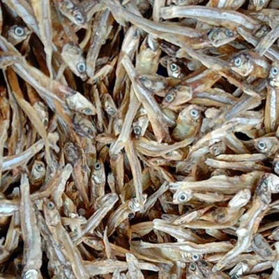 Small Fish | Siam Global Impex Co., Ltd.